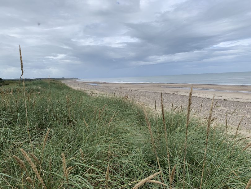 Thorup Strand in der Jammerbucht » Nordwärts mit Hund