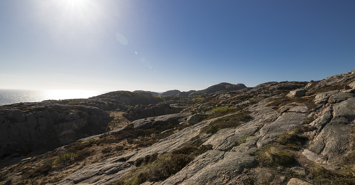 Kap Lindesnes - der Südkapp Norwegens » Nordwärts mit Hund